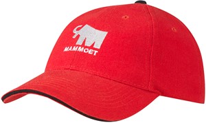 Caps Mammoet Global Support